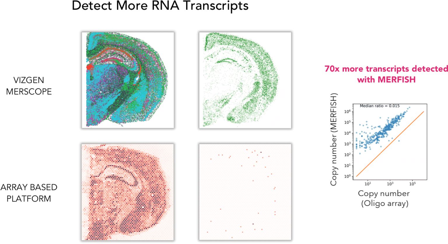 Neuroscience Showcase - Vizgen