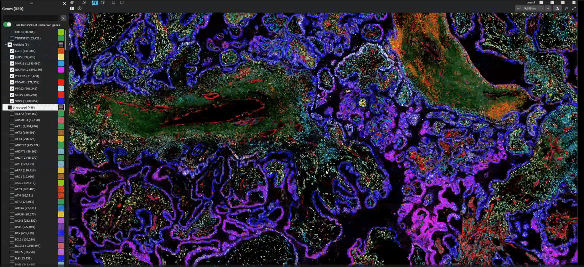 Developing Spatial Transcriptomics Data Analysis Solutions to Empower Researchers - Vizgen