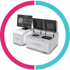 Single-Cell Spatial Genomics | Vizgen