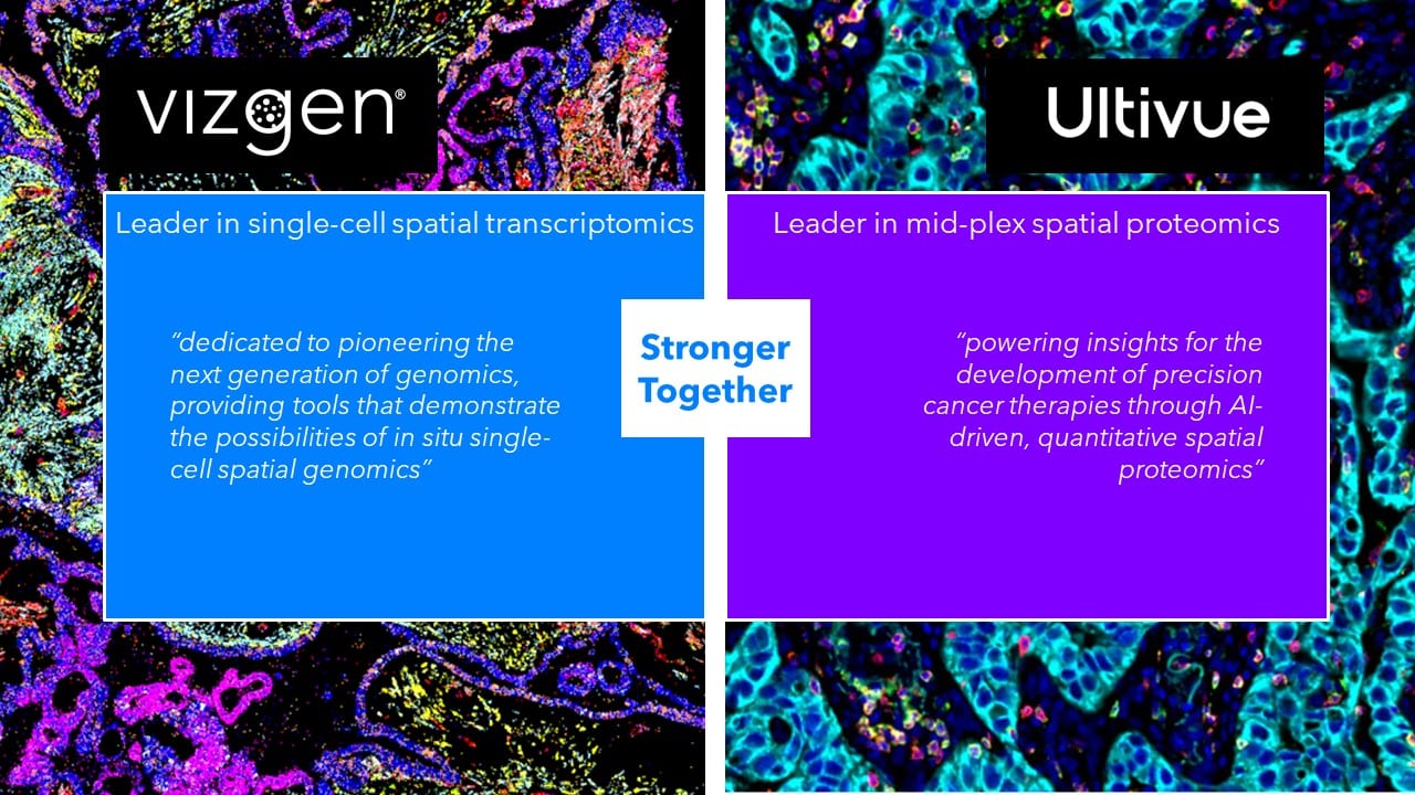 Vizgen and Ultivue Merge to Enable Deeper Insights into Disease Mechanisms and Drive Innovation ...